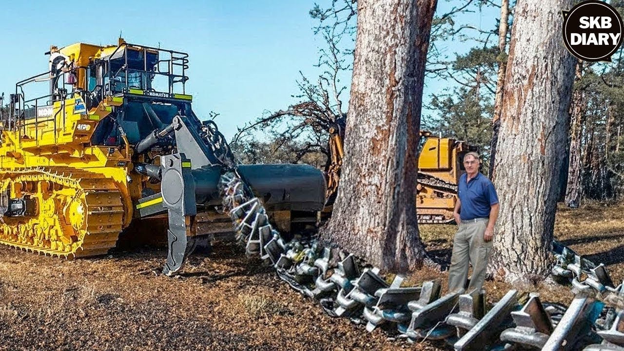 Forestry Wood Machine Technology That Has Full Power Ep-5 - YouTube