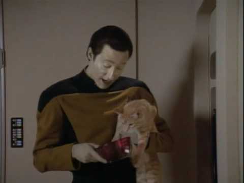 Star Trek TNG - Data feeds Spot - YouTube