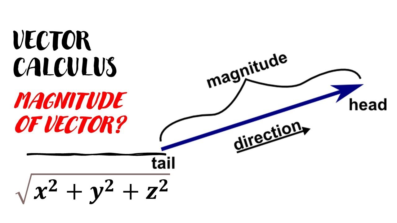 MAGNITUDE OF A VECTOR | VECTOR CALCULUS | DEFINITION FORMULA OF ...