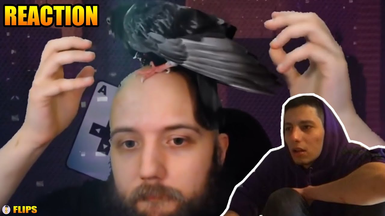 HOMYATOL REAGISCE AD "UTOPIA ZEB89" | HOMYATOL LIVE - YouTube