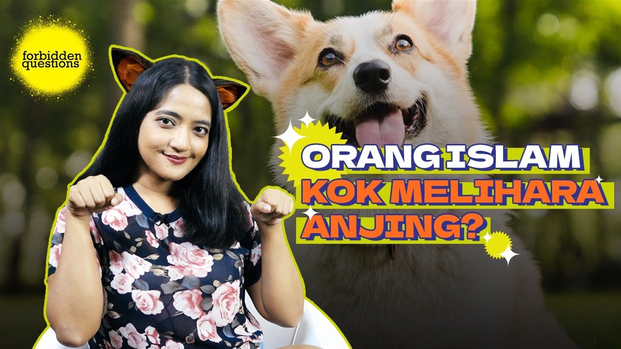 ORANG ISLAM KOK PELIHARA ANJING? - FORBIDDEN QUESTIONS - YouTube