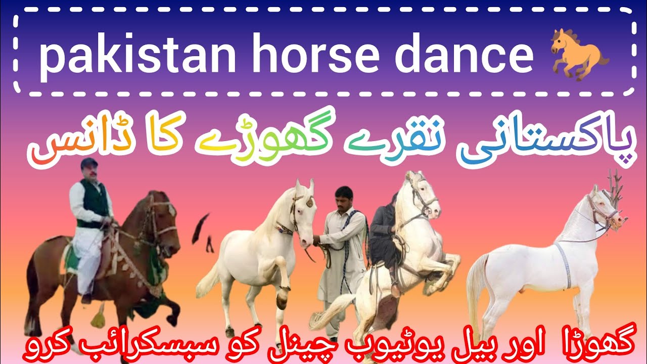 Pakistan horse video horse dance گھوڑے کا ڈانس بہت ہی پیارا گھوڑا ڈانسر ...