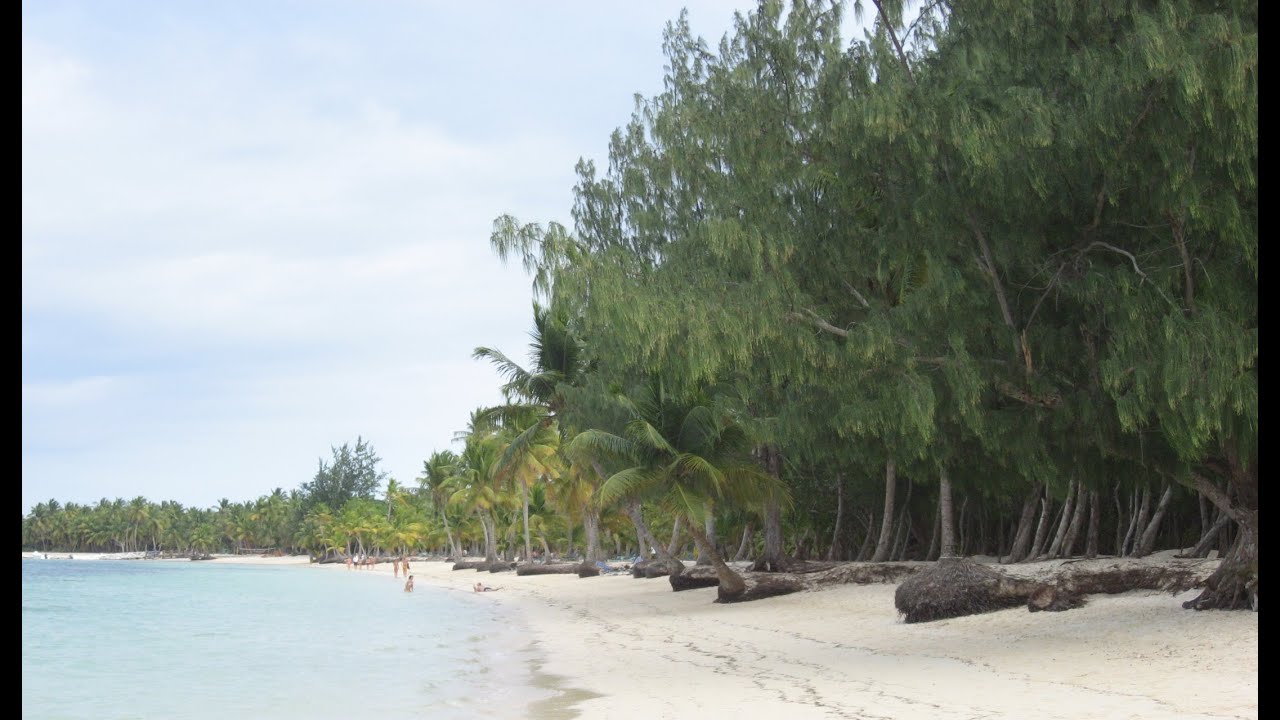 Karibik Dom Rep Impressionen Punta Cana Saona Island Catalina tauchen ...
