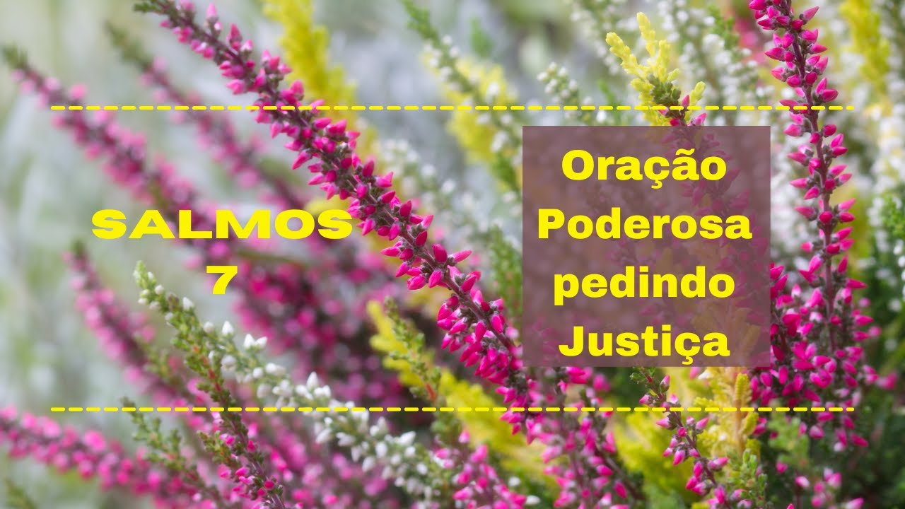 NTLH Oração Poderosa pedindo Justiça para Deus! Salmos 7 - YouTube