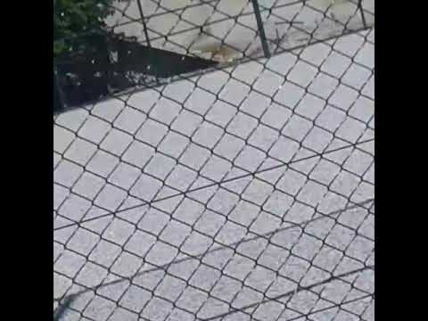 HATAY REYHANLI  HORLAK KÖYÜ