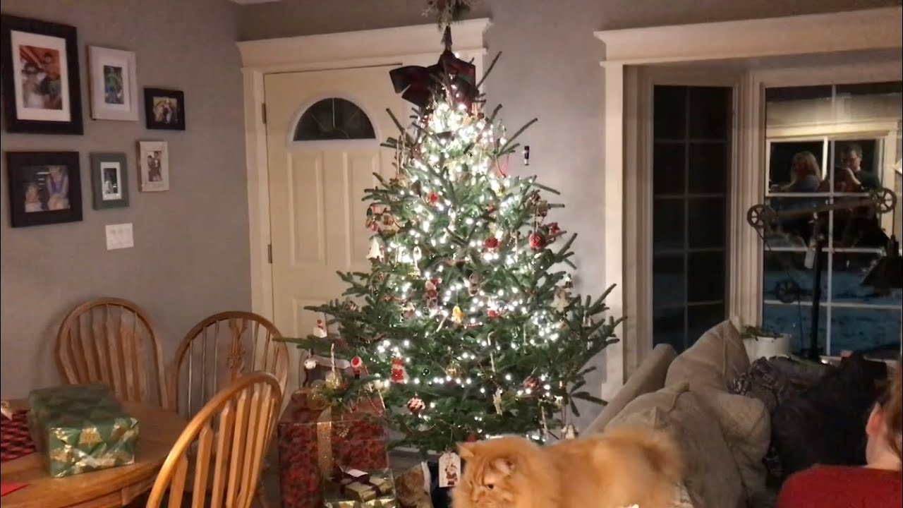 The Holy Christmas Tree 6 - YouTube