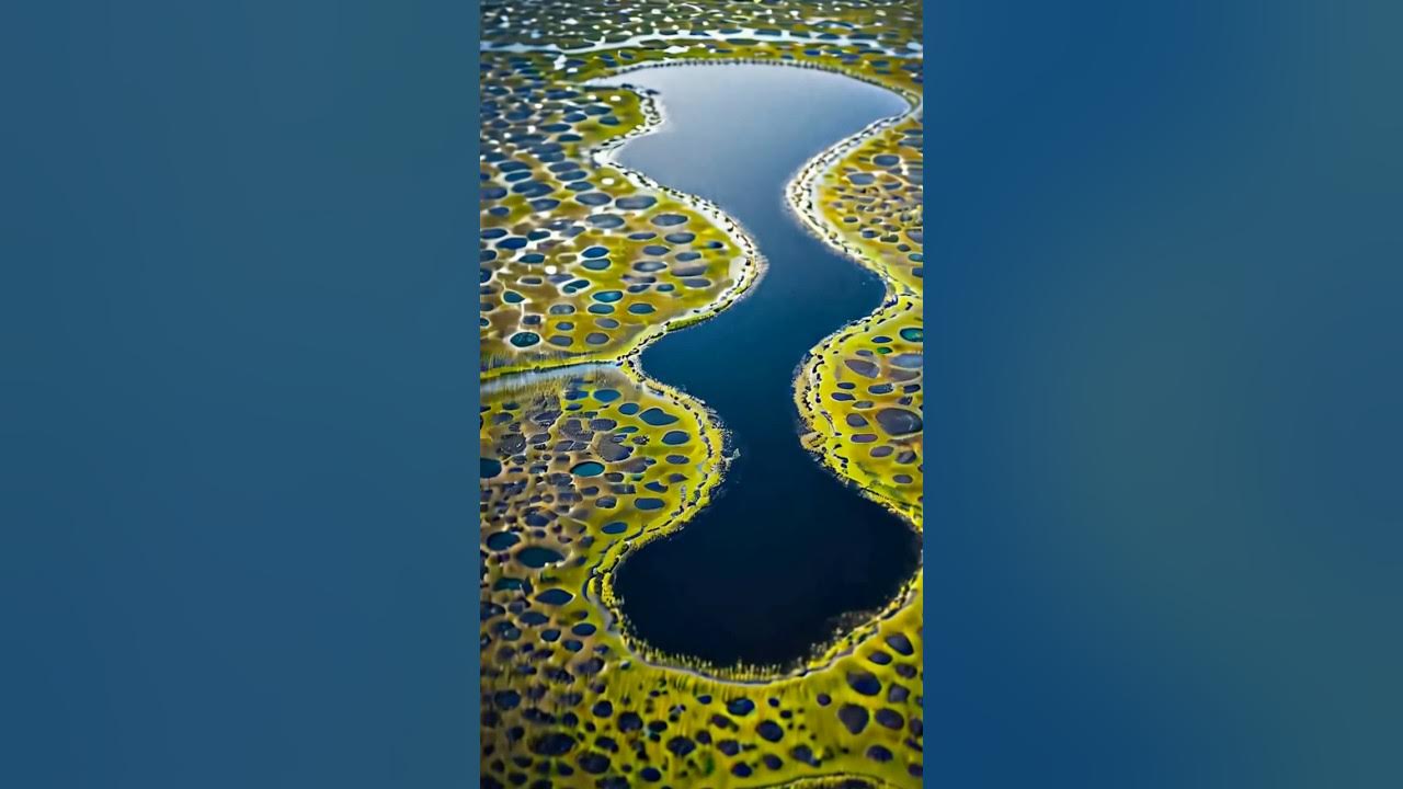 a giant polka dot painting - YouTube