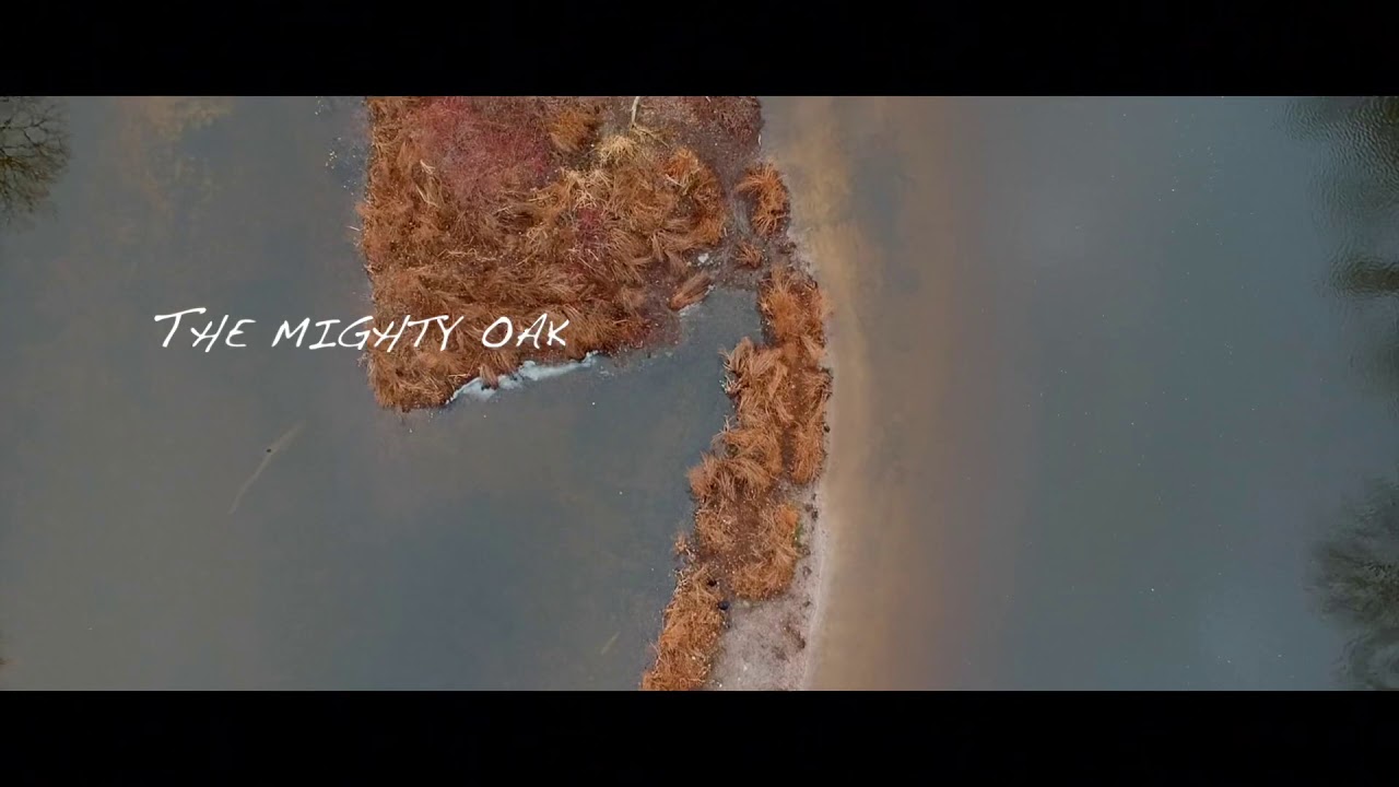The Mighty Oak: Short Film - YouTube