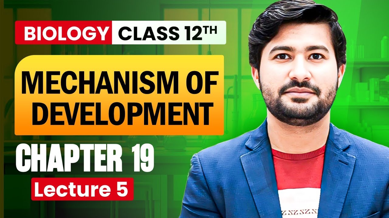 Mechanism of development class 12 | Hans and Spemann experiment by ...