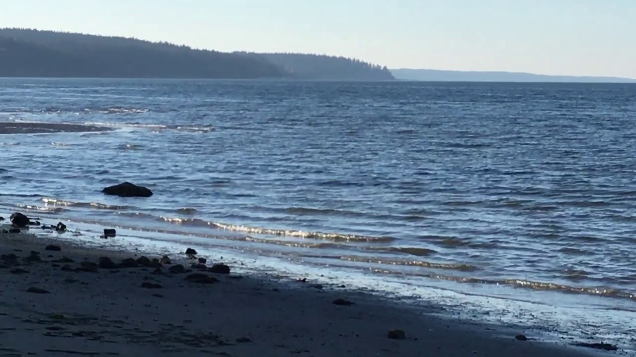 Walking on the Langley Beach - YouTube