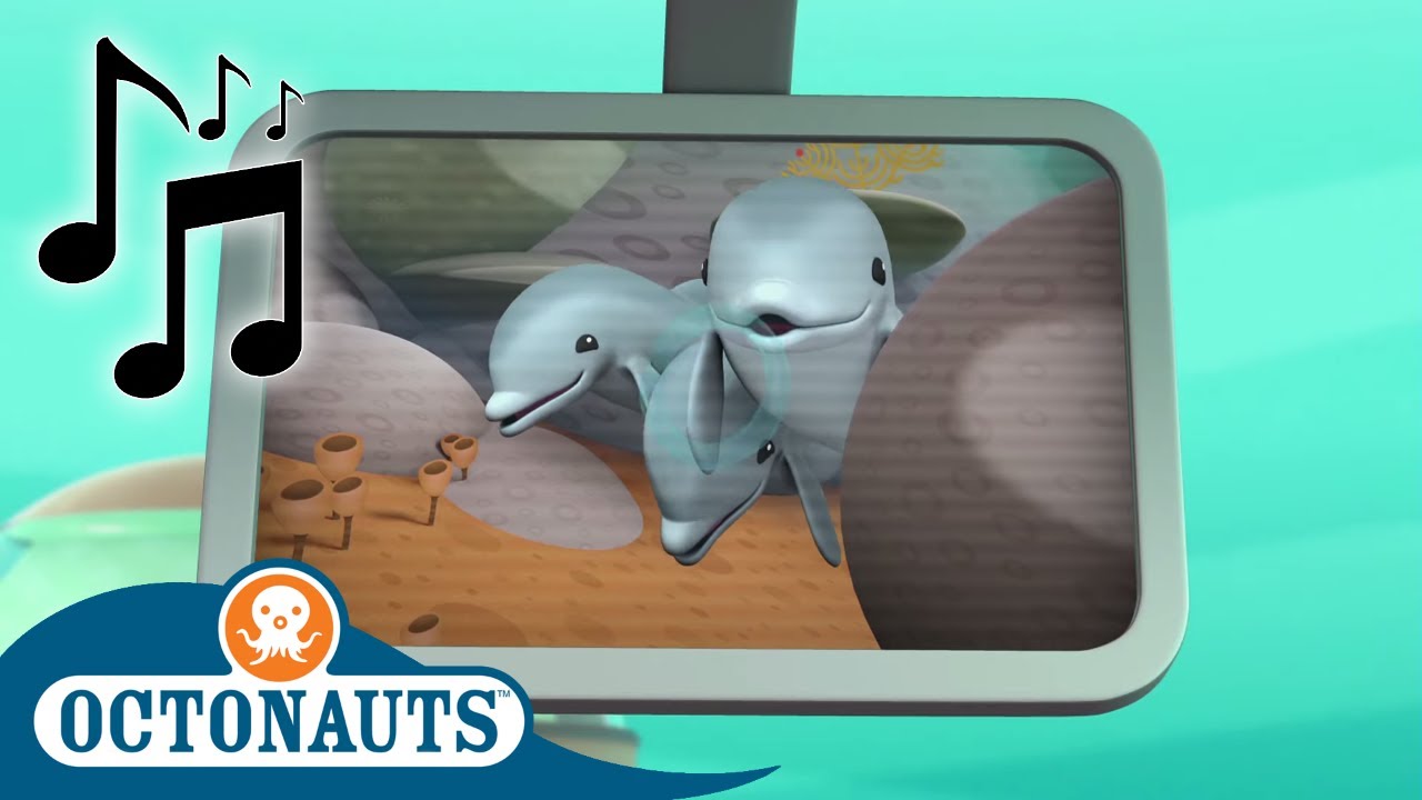 Octonauts - Happy Dolphins | Cartoons for Kids | Creature Reports - YouTube