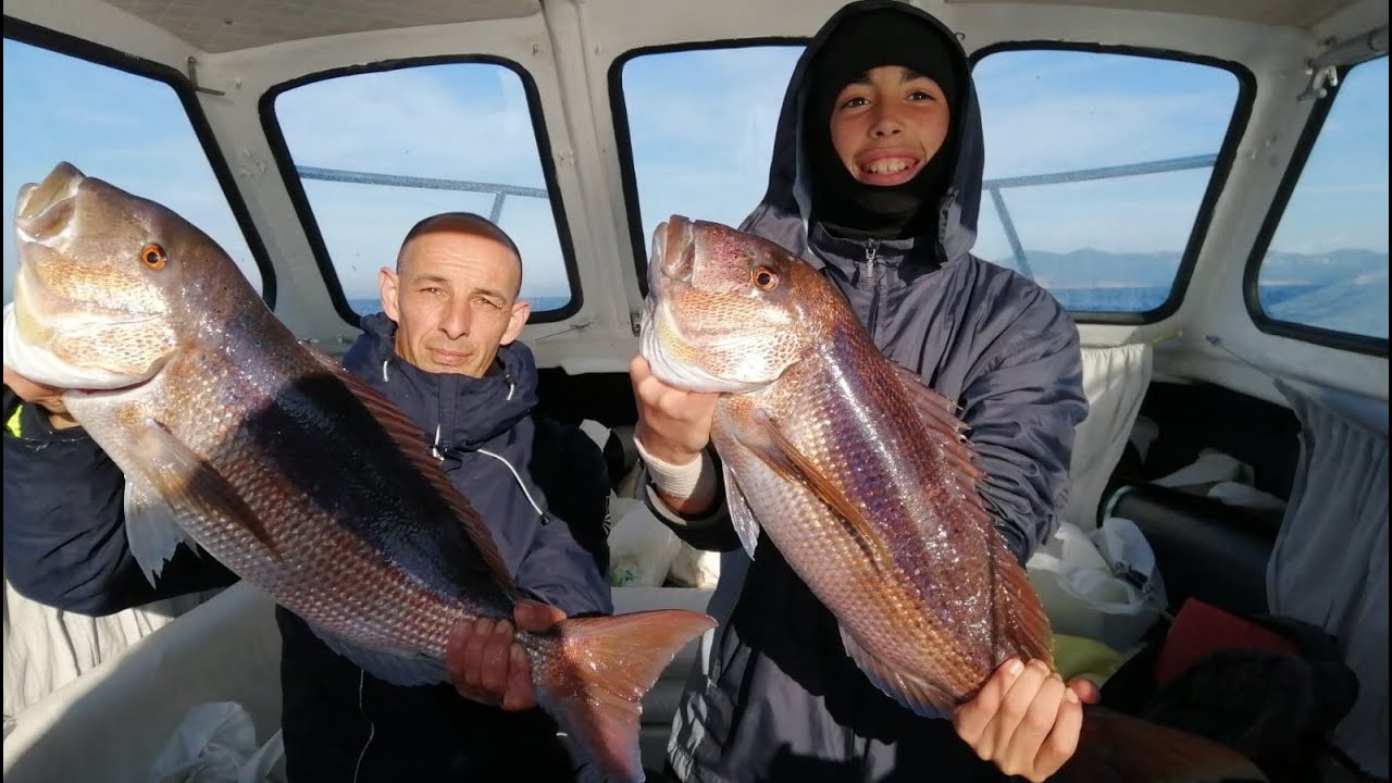 Dentones desde embarcación con calamar vivo 🦑🐟. - YouTube