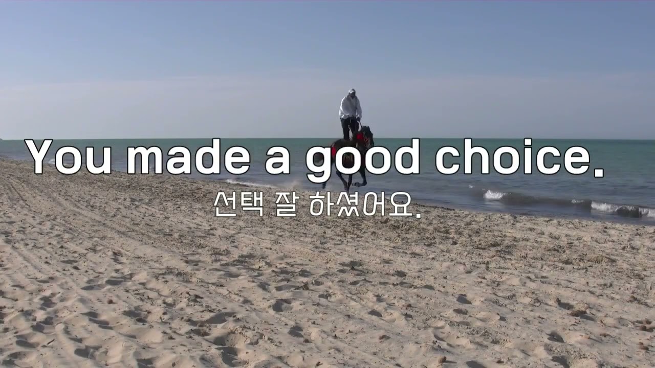 짧은문장5 두세단어 짧은 문장 연속듣기 짧아서 외우기 쉬운 기본영어 기초 영어 표현 짧고 쉬운 문장으로 왕초보