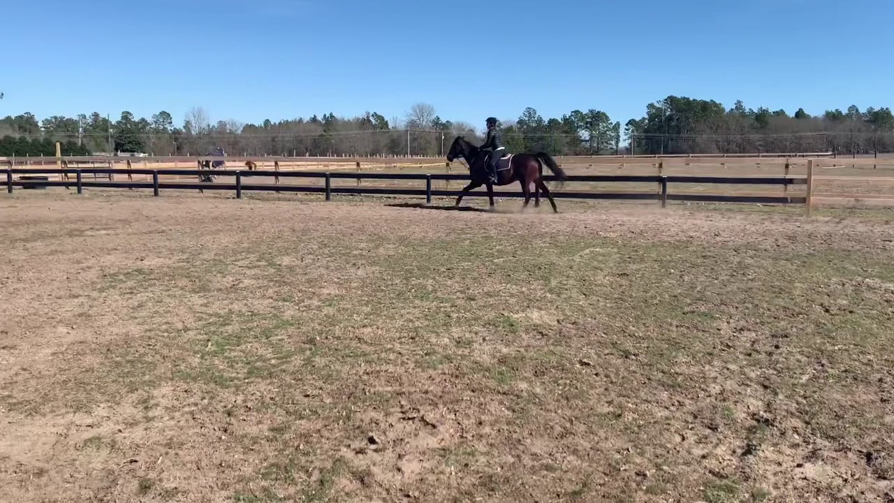 JetPack horse for lease - YouTube