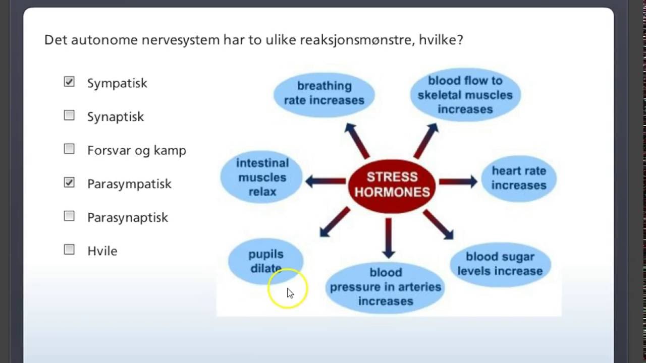 Utklipp Av Sentralnervesystemet