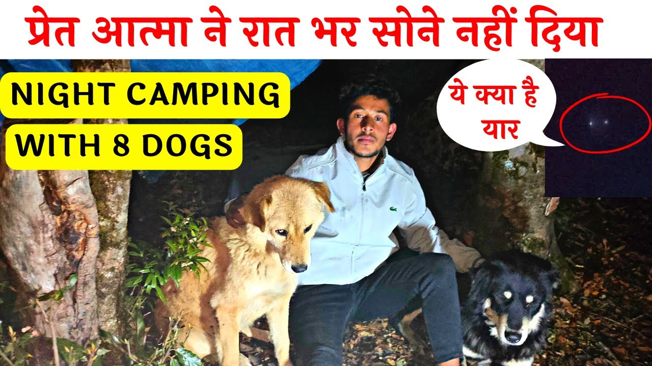 Winter Night Camping With 8 Dogs | Winter Night Camping | Bushcraft ...
