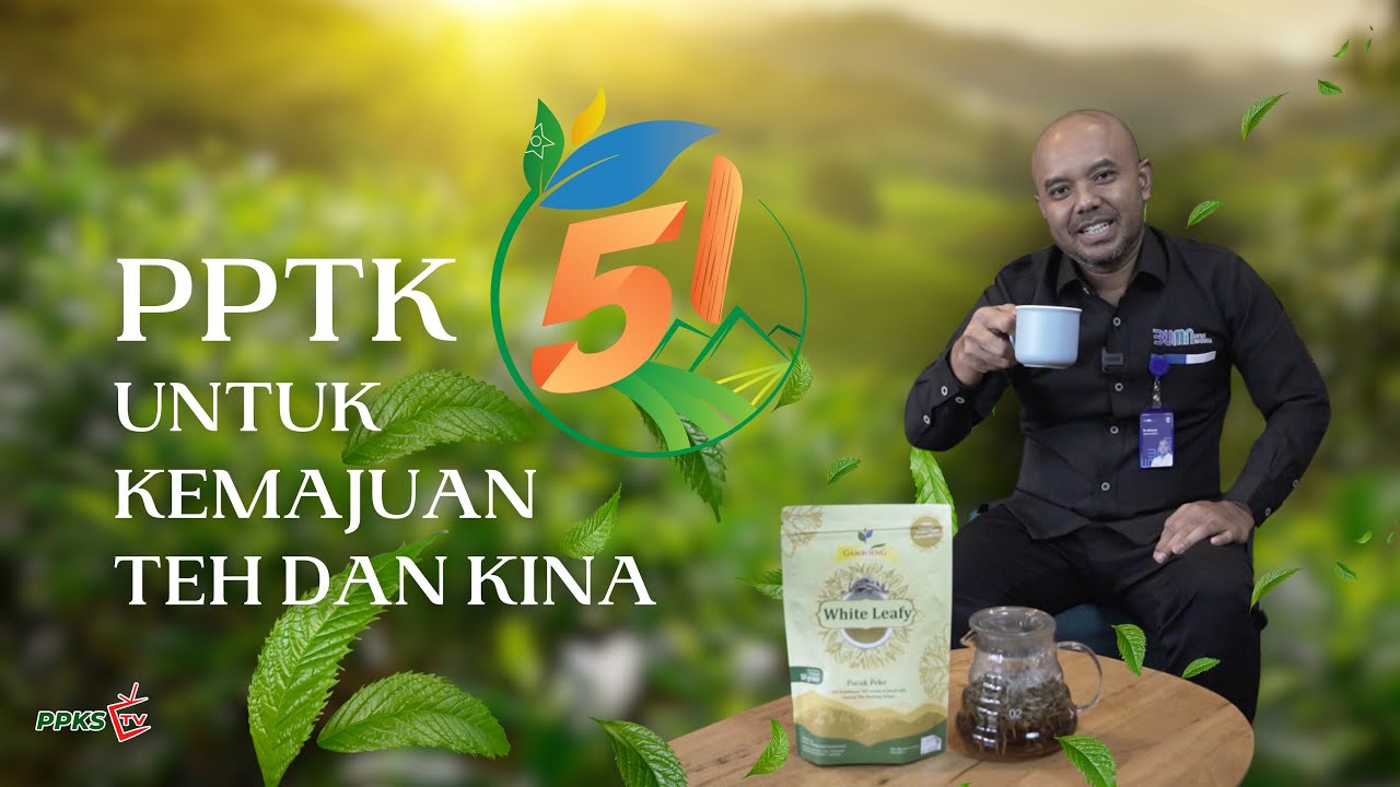 Inovasi Teh dan Kina untuk Perkebunan Berkelanjutan - YouTube