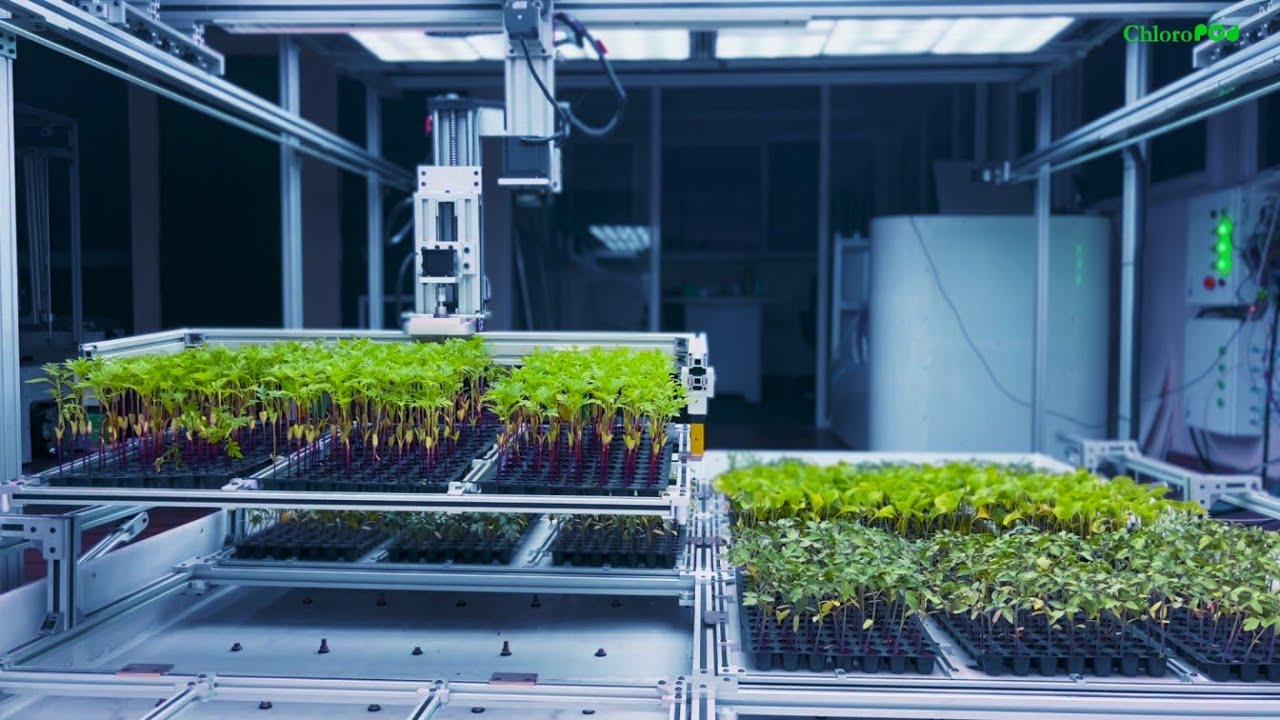 Chloropod | Deep-tech | Ag-tech | Teaser - YouTube