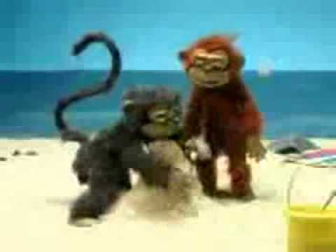 changos chistosos - YouTube