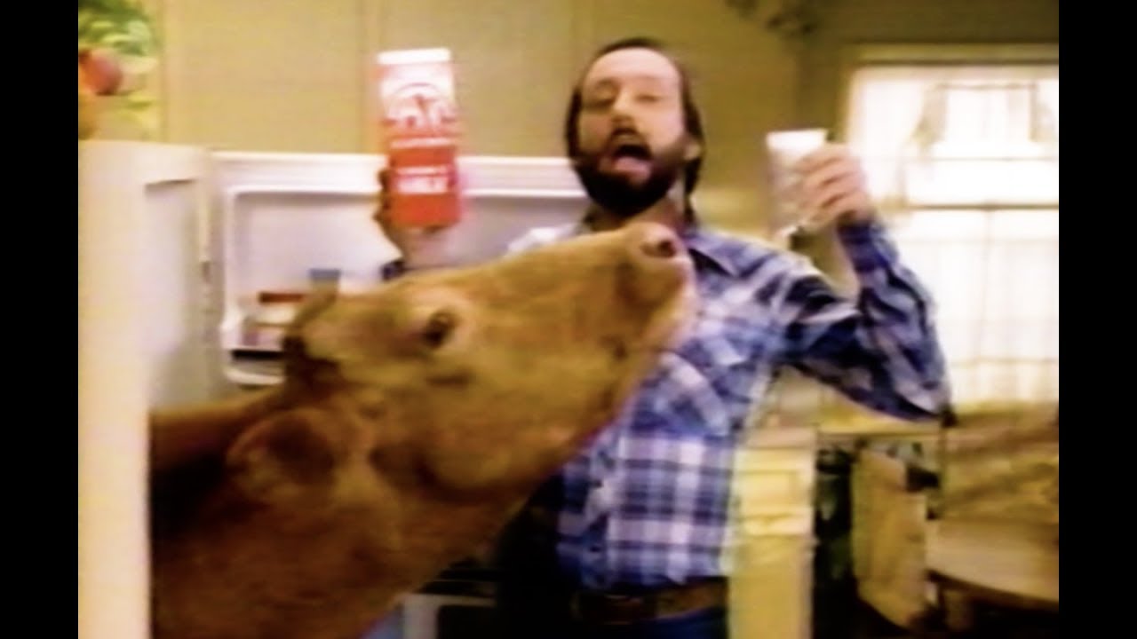 Ray Stevens - Flav-O-Rich Commercial (Cow In Fridge) - YouTube