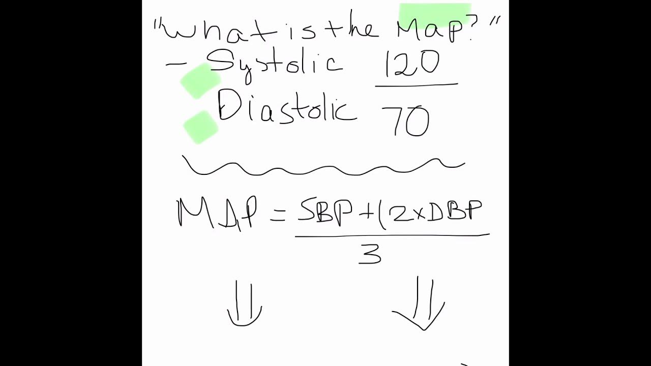 APII The Circulatory System how to calculate mean arterial pressure or ...