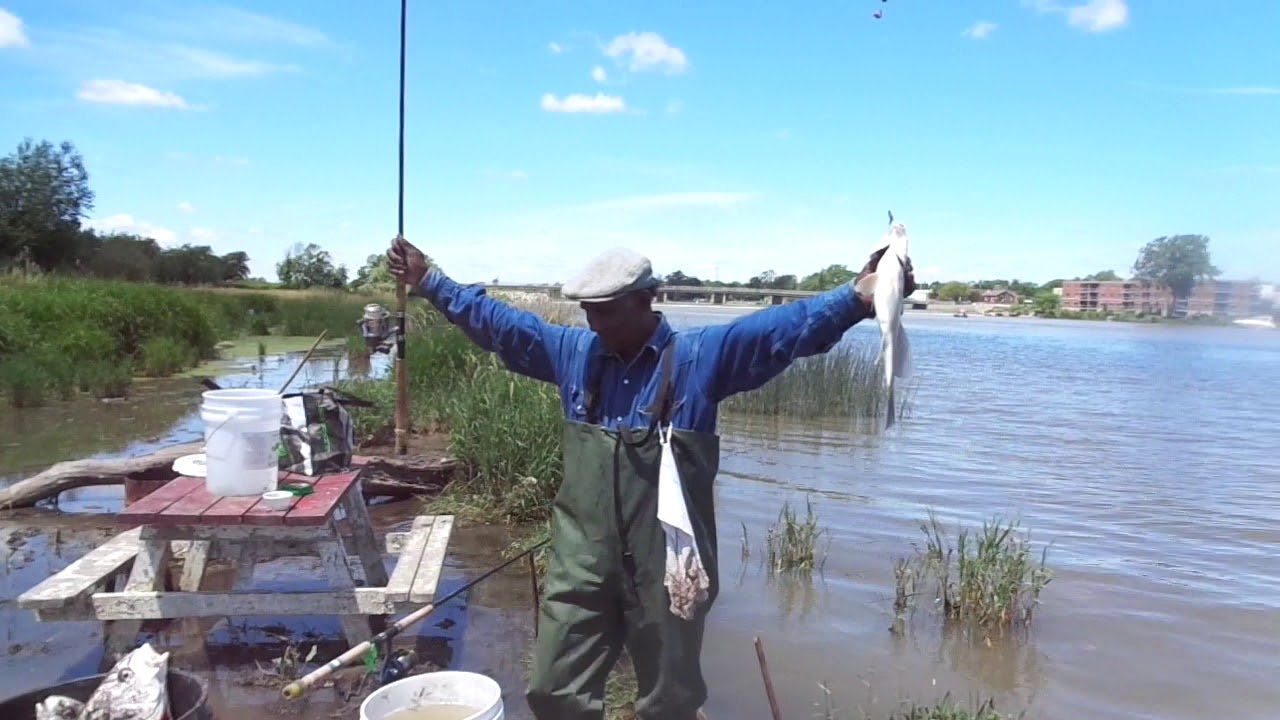 Shiphead fishing in Grand River by Akhtar Husain - YouTube