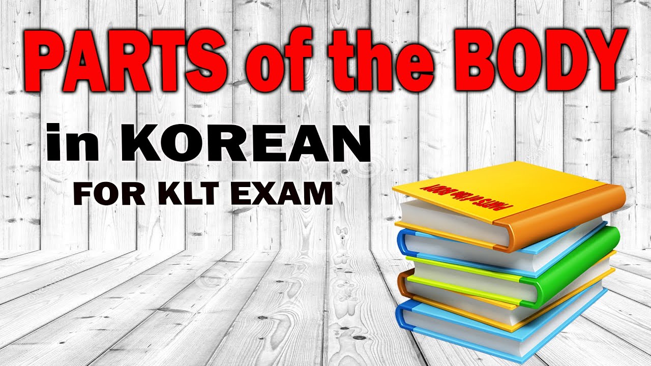 PARTS OF THE BODY in KOREAN - Korean Vocabulary AJ PAKNERS - YouTube
