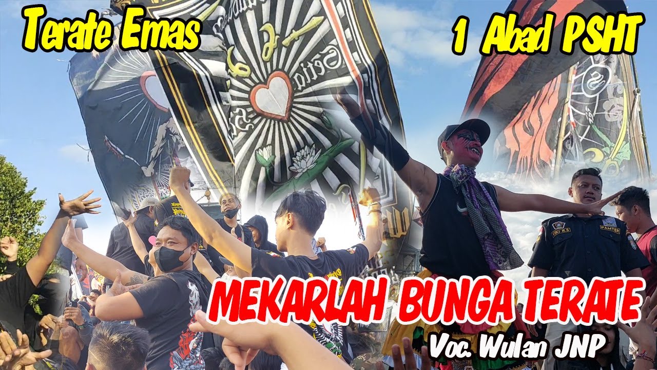 MEKARLAH BUNGA TERATE - TERATE EMAS - Voc. WULAN JNP ROGO SAMBOYO PUTRO ...