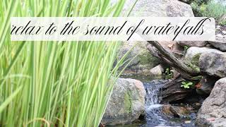 Our Gorgeous Patio and Landscape | Traditions Restaurant & Bakery