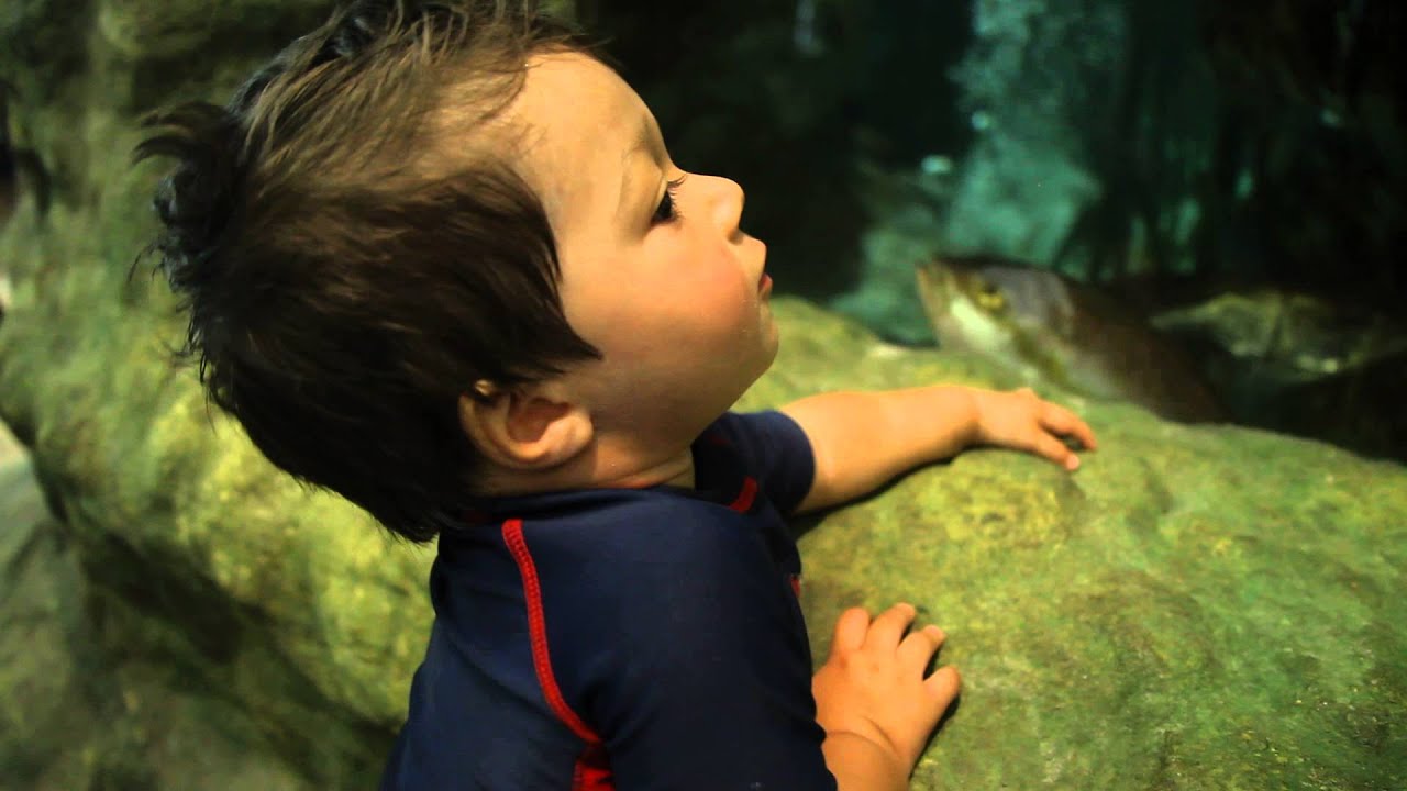 Axel's Adventures - YouTube