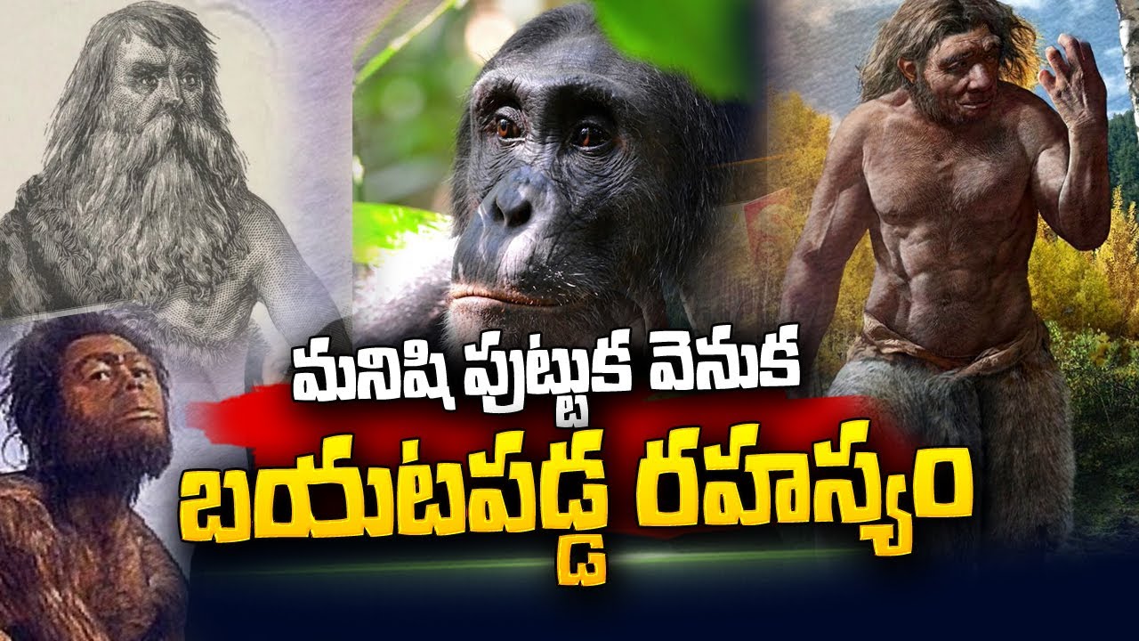 First Human on Earth in Telugu | Amazing Facts in Telugu ...