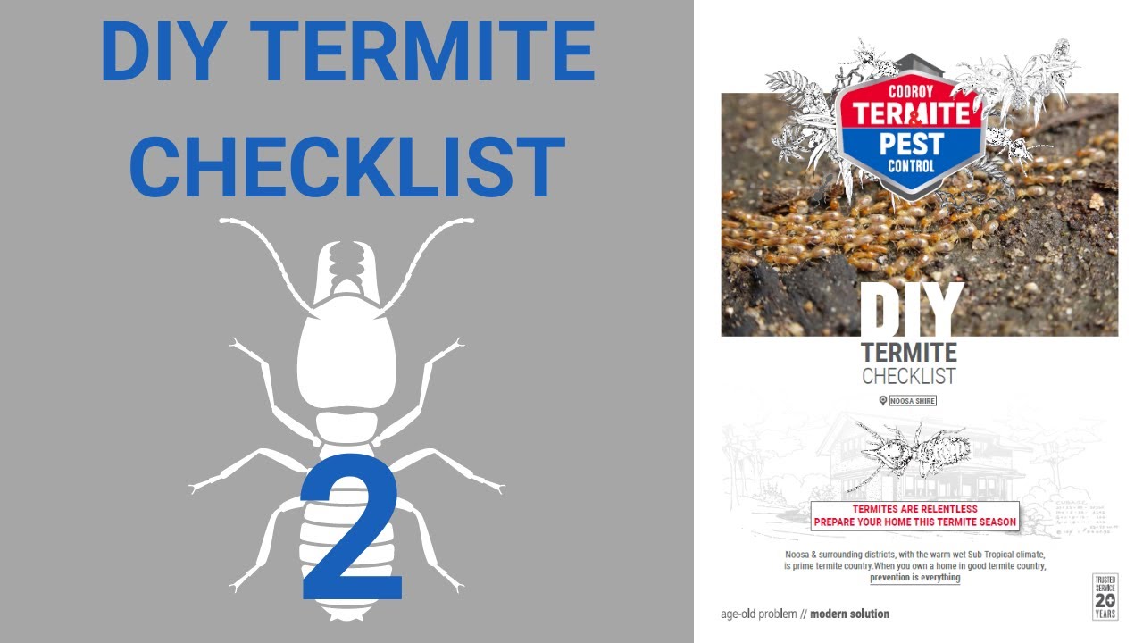 Part 2 DIY Termite Checklist - Save thousands of costly termite damage ...