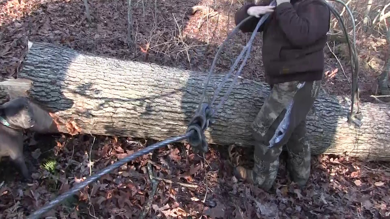 Logging - Kentucky Livin' - YouTube