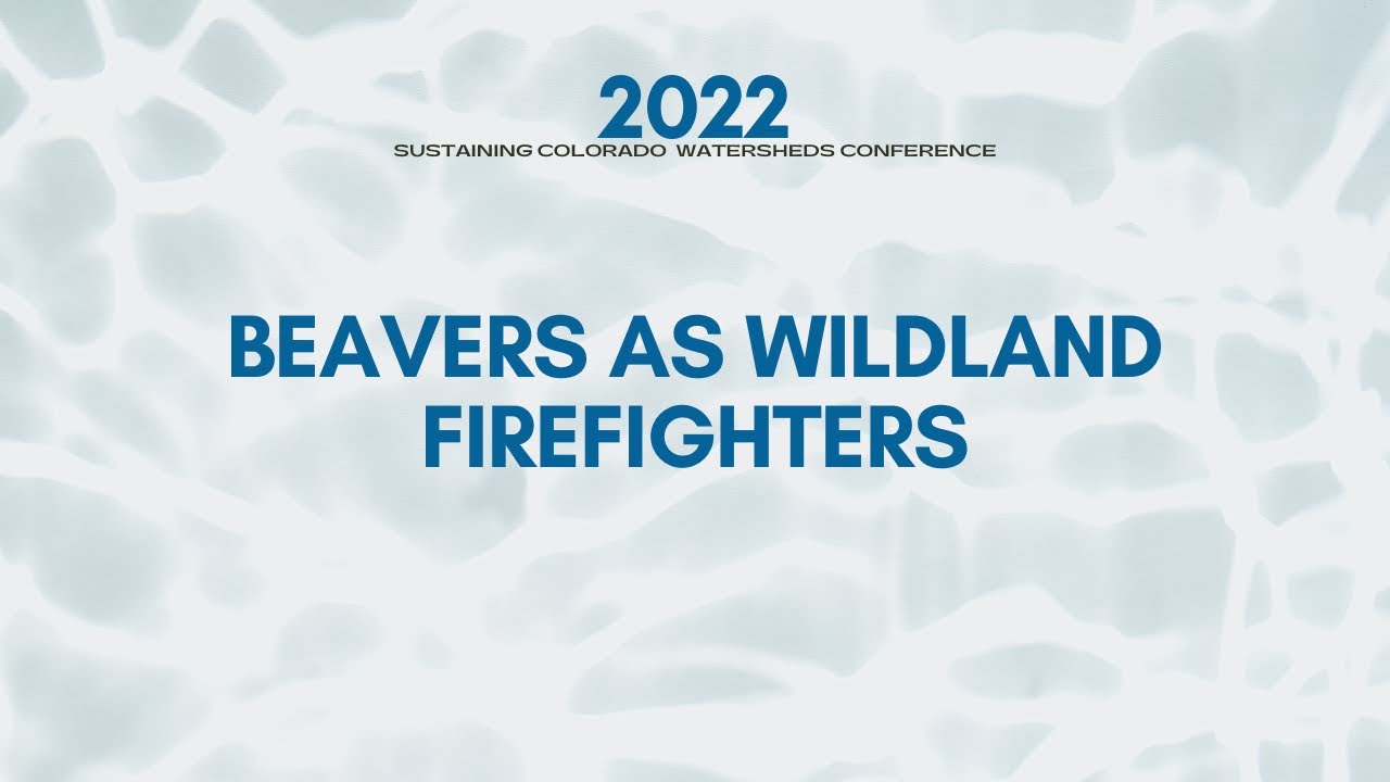 Beaver as Wildland Firefighters - YouTube