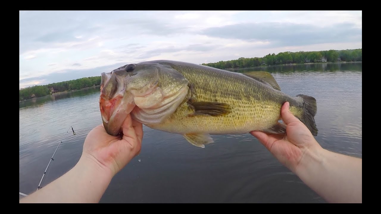 Jig Fishing for GIANT Bass! 22 Pound Bag! - YouTube