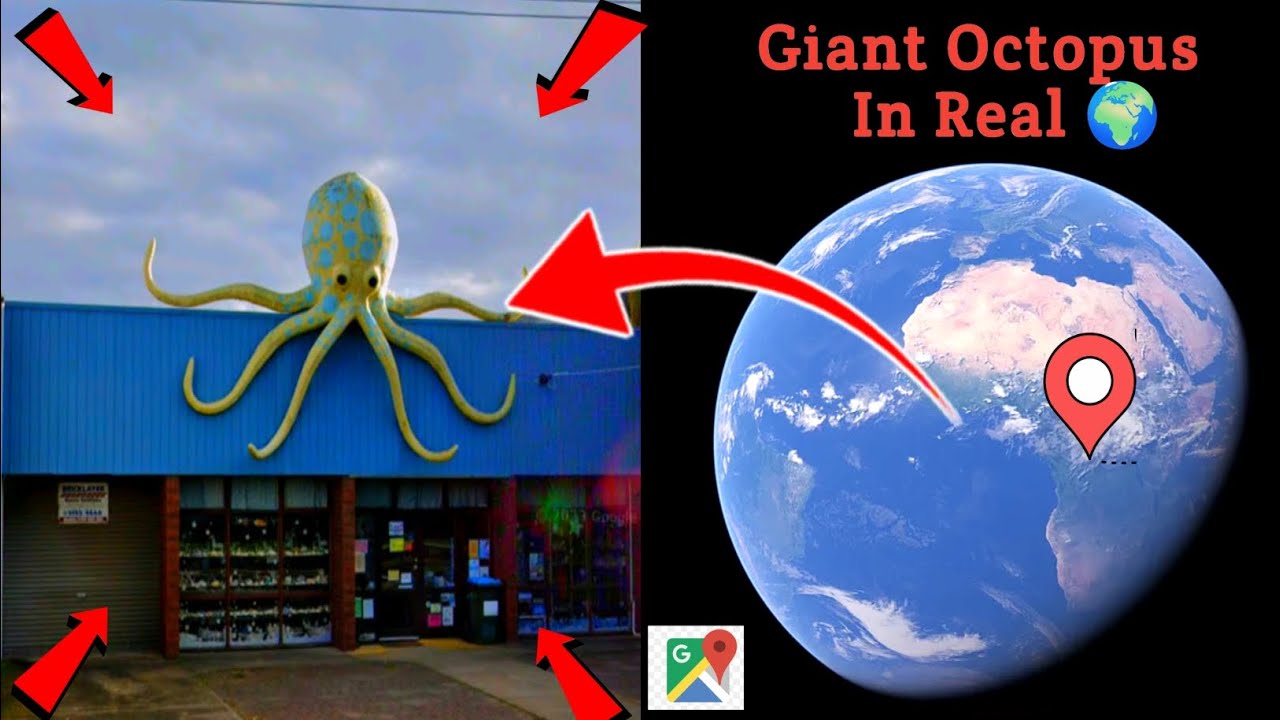 I Found 😶‍🌫️ Giant Octopus 🐙 In Real On Google Old Earth maps # ...