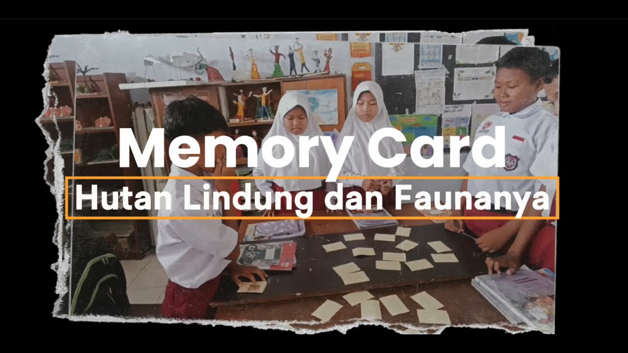 Permainan Literasi Kartu Memori/Memory Card Hutan Lindung dan Fauna ...
