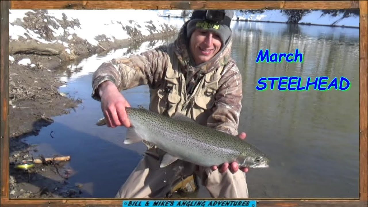 Cold March STEELHEAD (with Western New York Angler) - YouTube