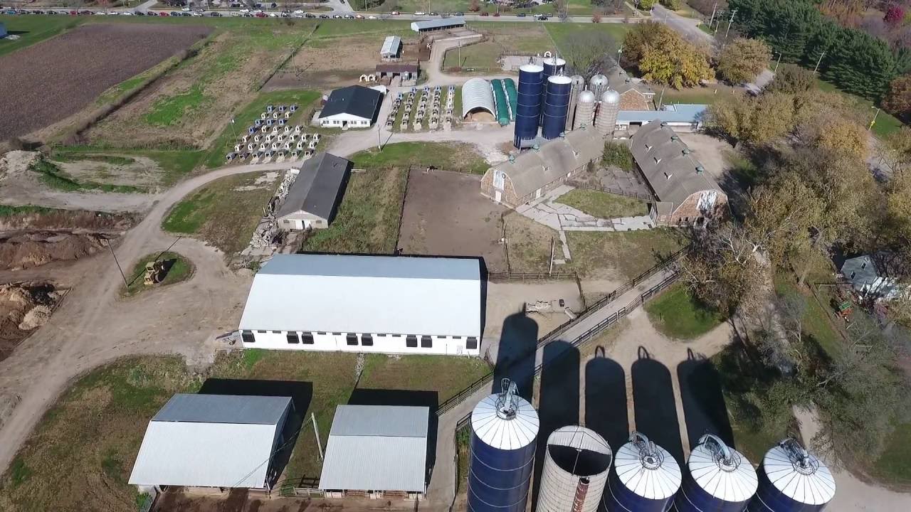 University of Illinois Dairy Farm - YouTube