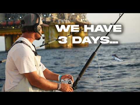 Baypoint Billfish Open 2026 | Gunnslinger