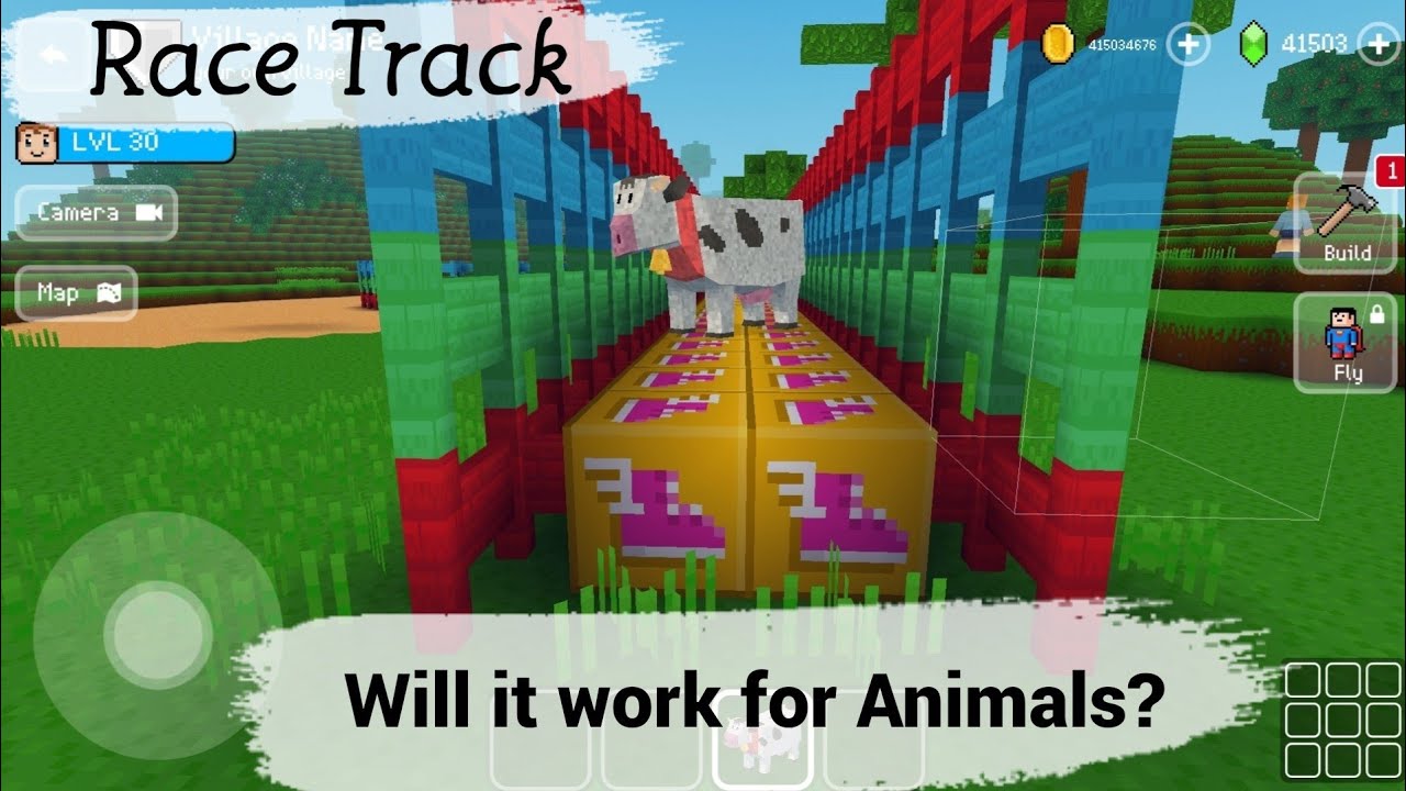Race Track for Animals - Block Craft 3d: Building Simulator Games for ...
