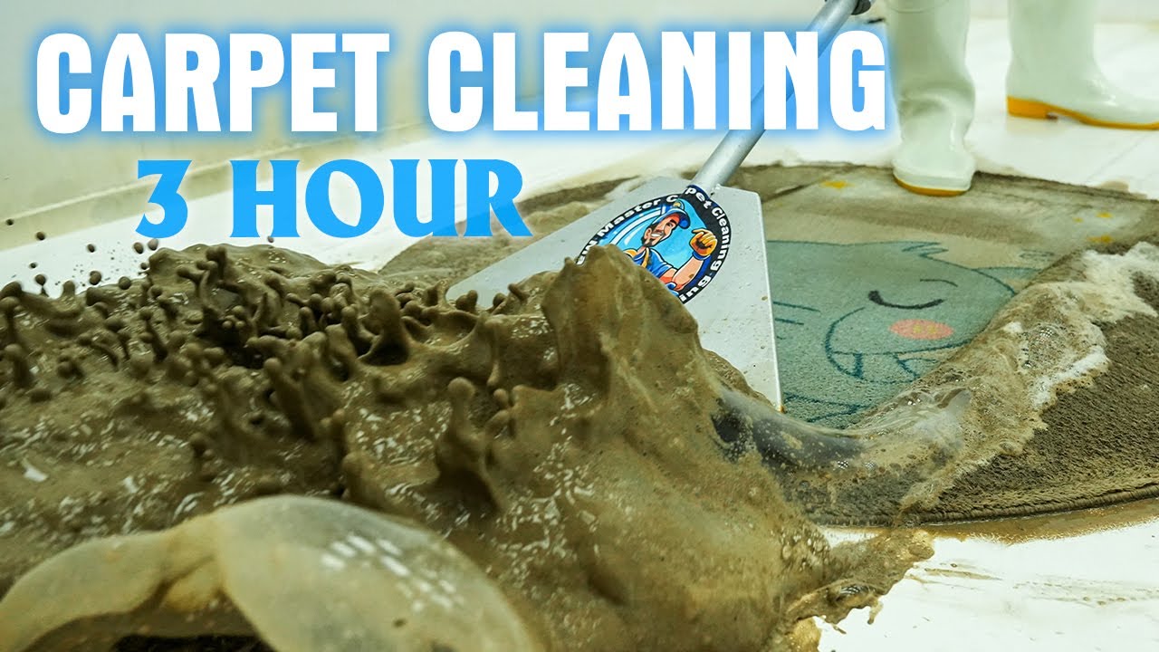 Fall Asleep Fast – Watch Carpet Cleaning for Stress Relief and Deep ...