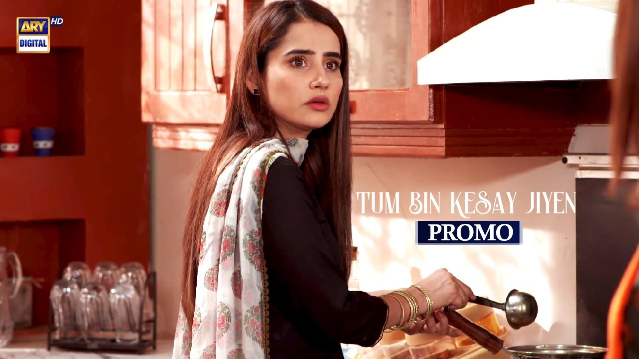 Tum Bin Kaisay Jiyen | Promo | Upcoming Episode 2 | Sania Samshad | ARY ...