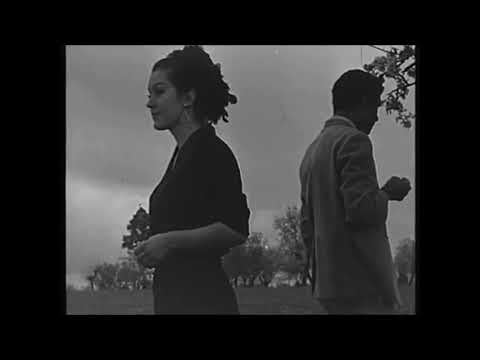 Oy Gelin - Akşam olur karanlığa kalırsın - Aynur Doğan