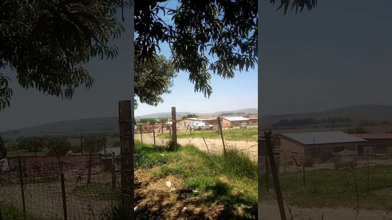 Saps in free state memel - YouTube