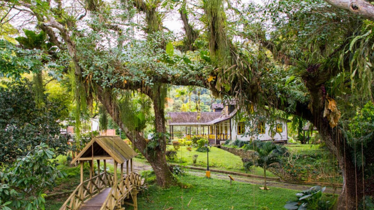 Trinidad Visit - Lopinot | Learn How to Make Chocolate & Enjoy a ...