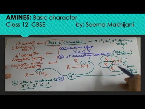 AMINES ( Basic Character) by Seema makhijani .EASY CONCEPT💜💚💛🧡 - YouTube