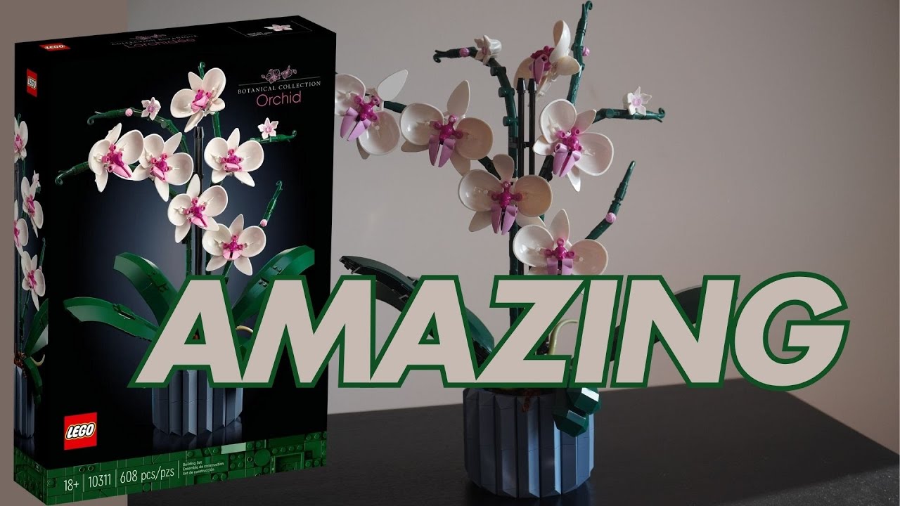 This Set is AMAZING | Building the Stunning LEGO 10311 Botanicals ...