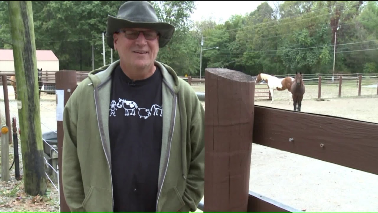 Randy's Rescue Ranch to host Halloween fundraiser for animal rescue ...