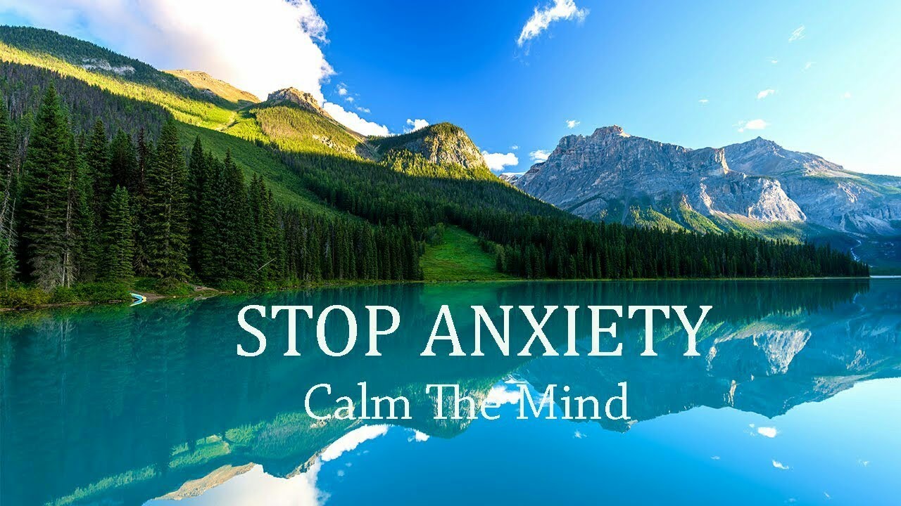 Relaxing music|Tree Wilderness - Relaxing Piano Music • Nature Sounds ...